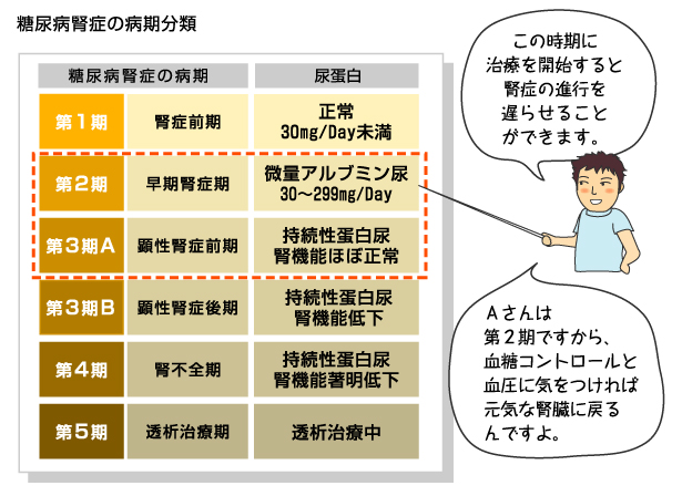 Come On 糖尿病教室-第4回 個人療養指導:糖尿病腎症|糖尿病特集サイト メディマグ